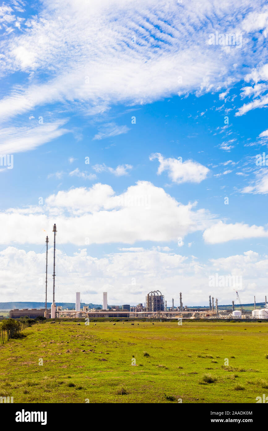 Petrol production south africa hi-res stock photography and images - Alamy