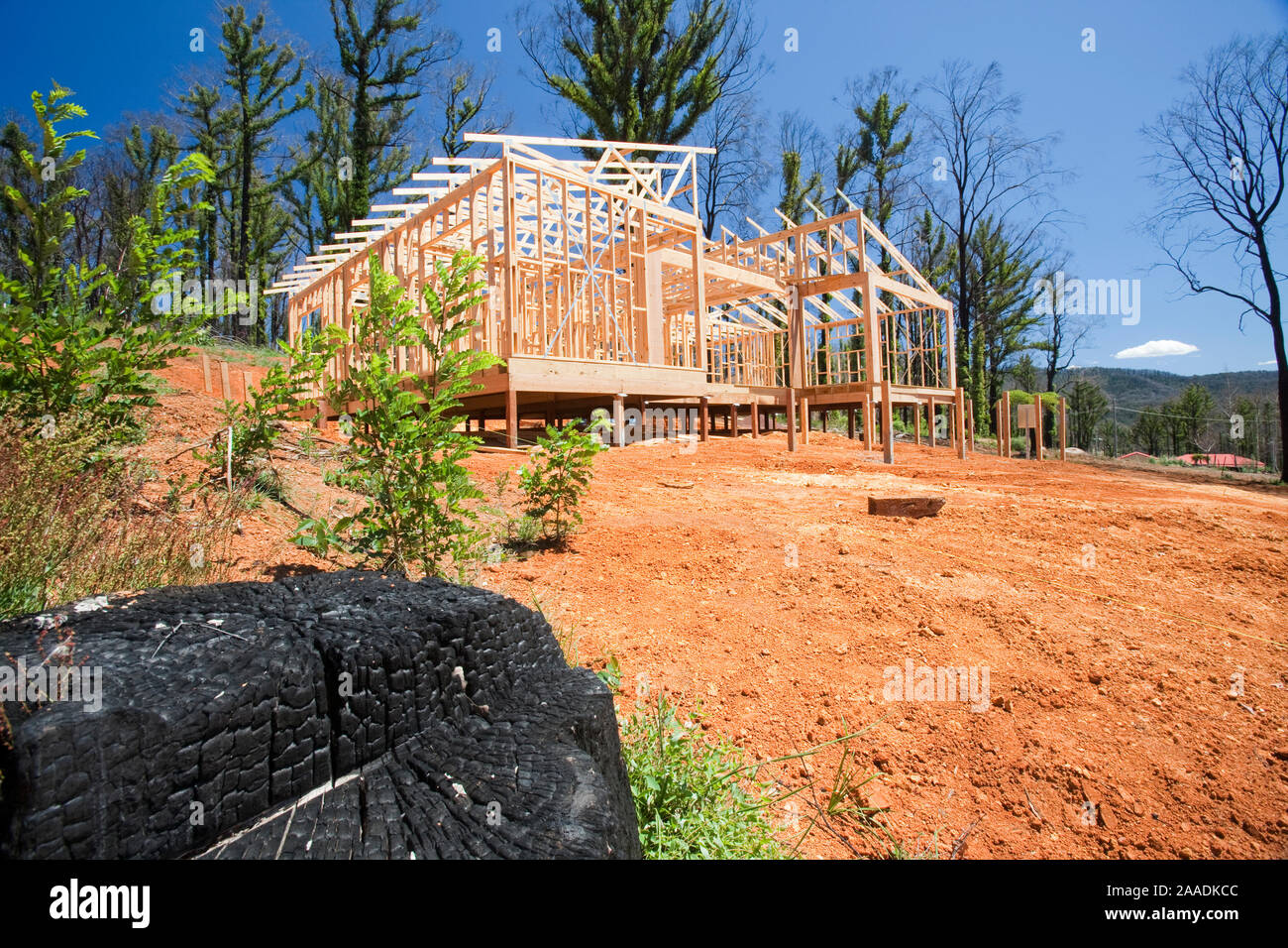 Victoria bush hi-res stock photography and images - Alamy