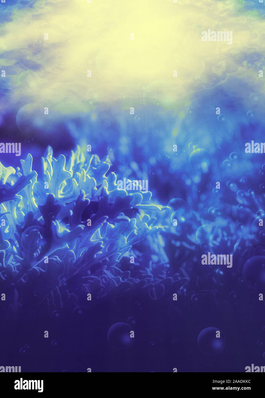 Corals or seaweed, abstract underwater background design Stock Photo ...