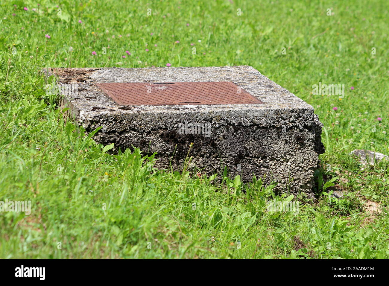 Manhole cover green grass hi-res stock photography and images - Alamy