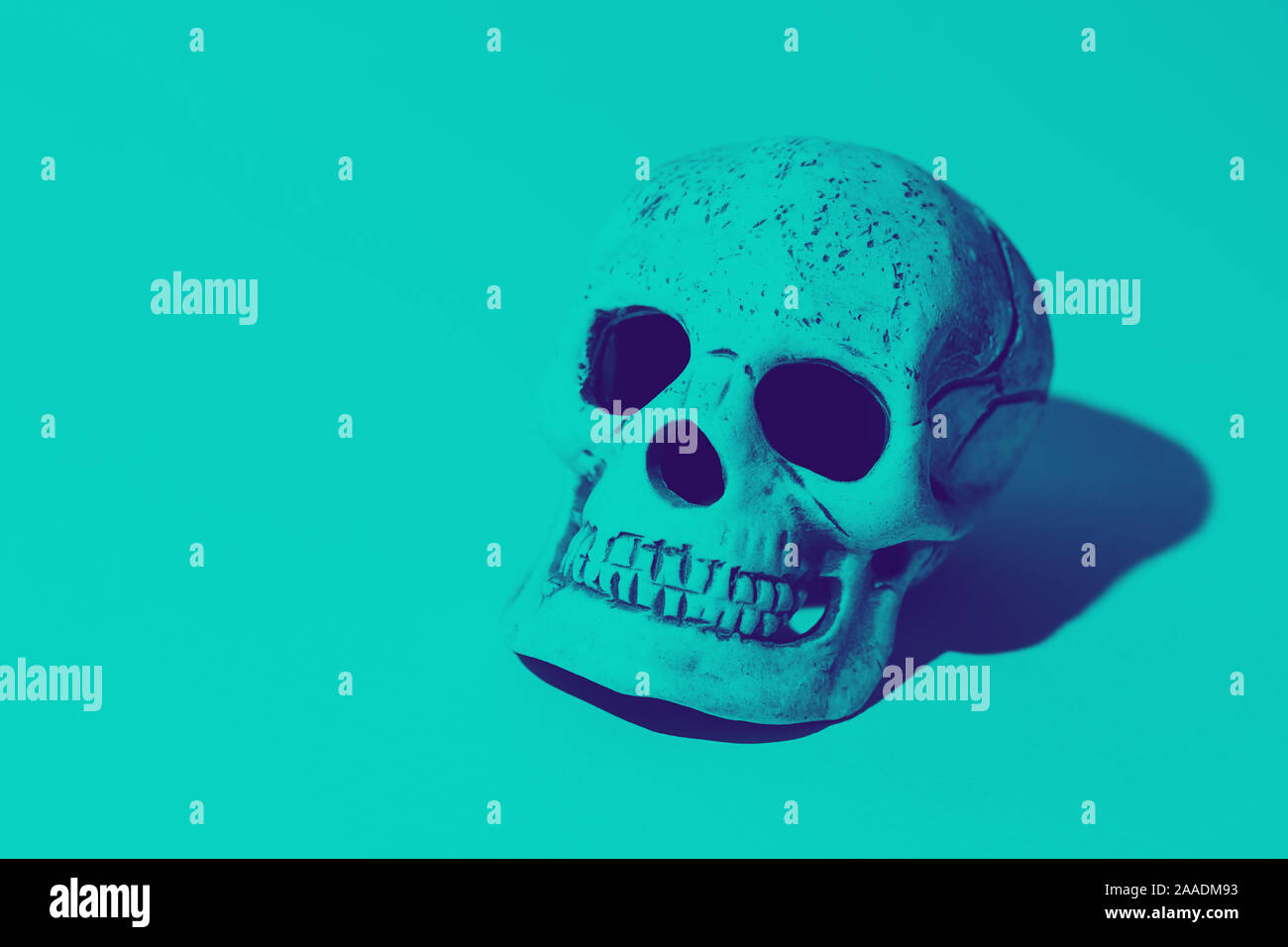 skull with a hard shadow on a mint background Stock Photo - Alamy