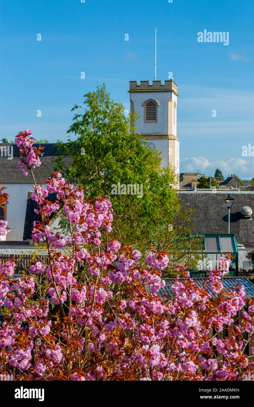 Spring blossom ,scotland hi-res stock photography and images - Alamy