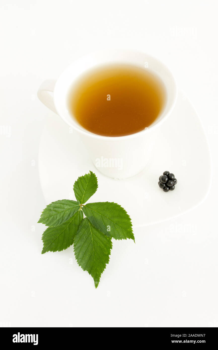 Brombeere Rubus Fruticosus High Resolution Stock Photography and Images ...