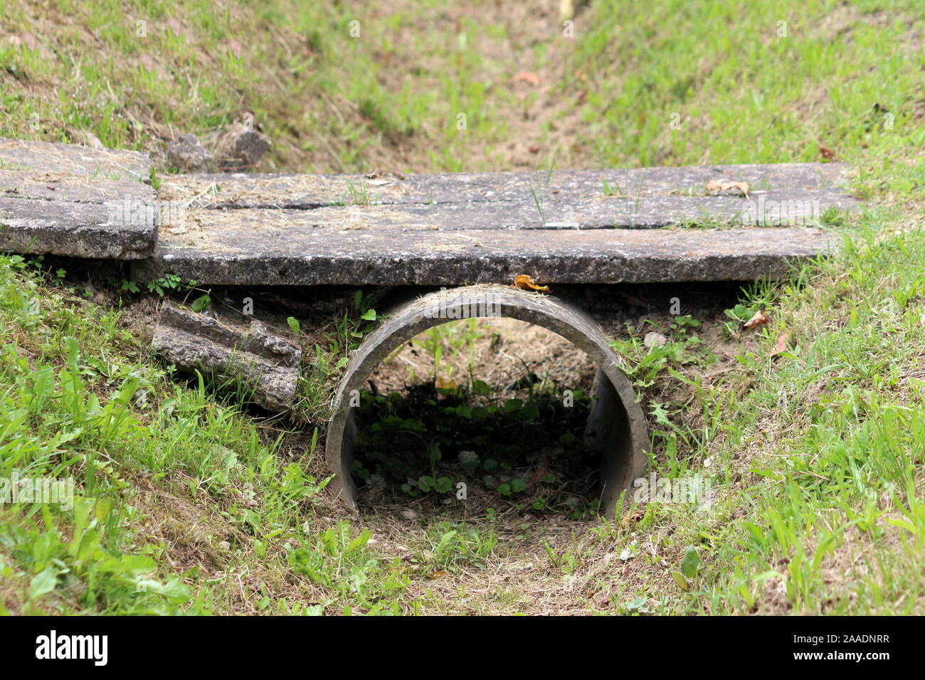 Improvised bridge hi-res stock photography and images - Alamy