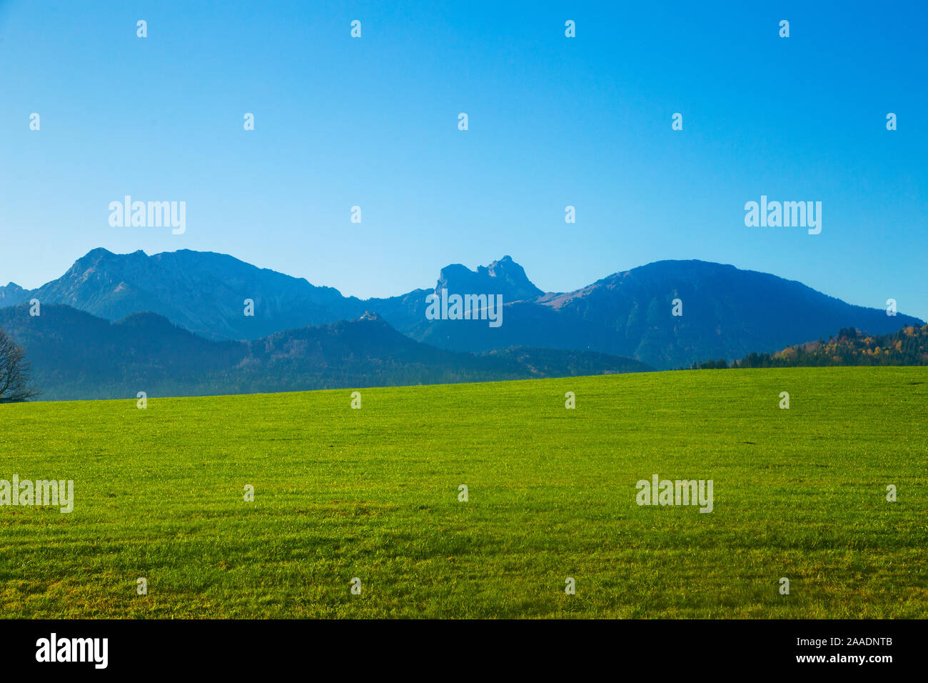 Romantic scenery of Bavaria area, take a train to Fussen town Stock ...