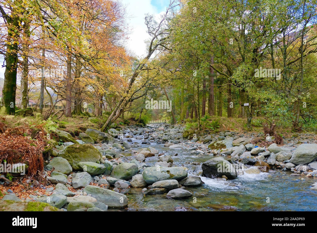 Stream creates hi-res stock photography and images - Alamy