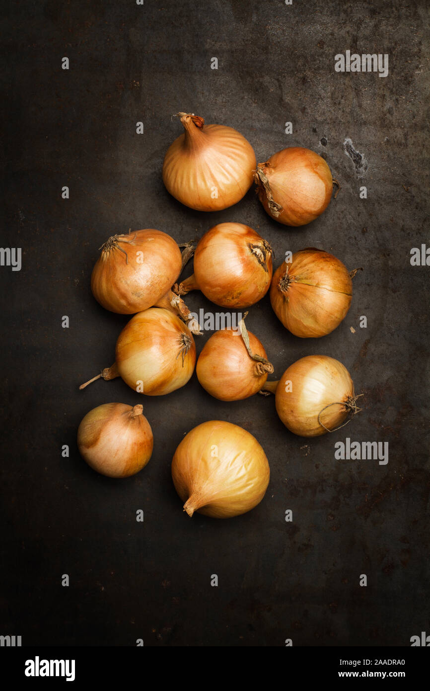 Small white french onions on a rusty metal table Stock Photo - Alamy
