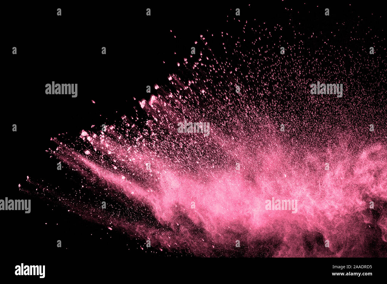 Explosion of pink colored powder isolated on black background.Pink dust ...