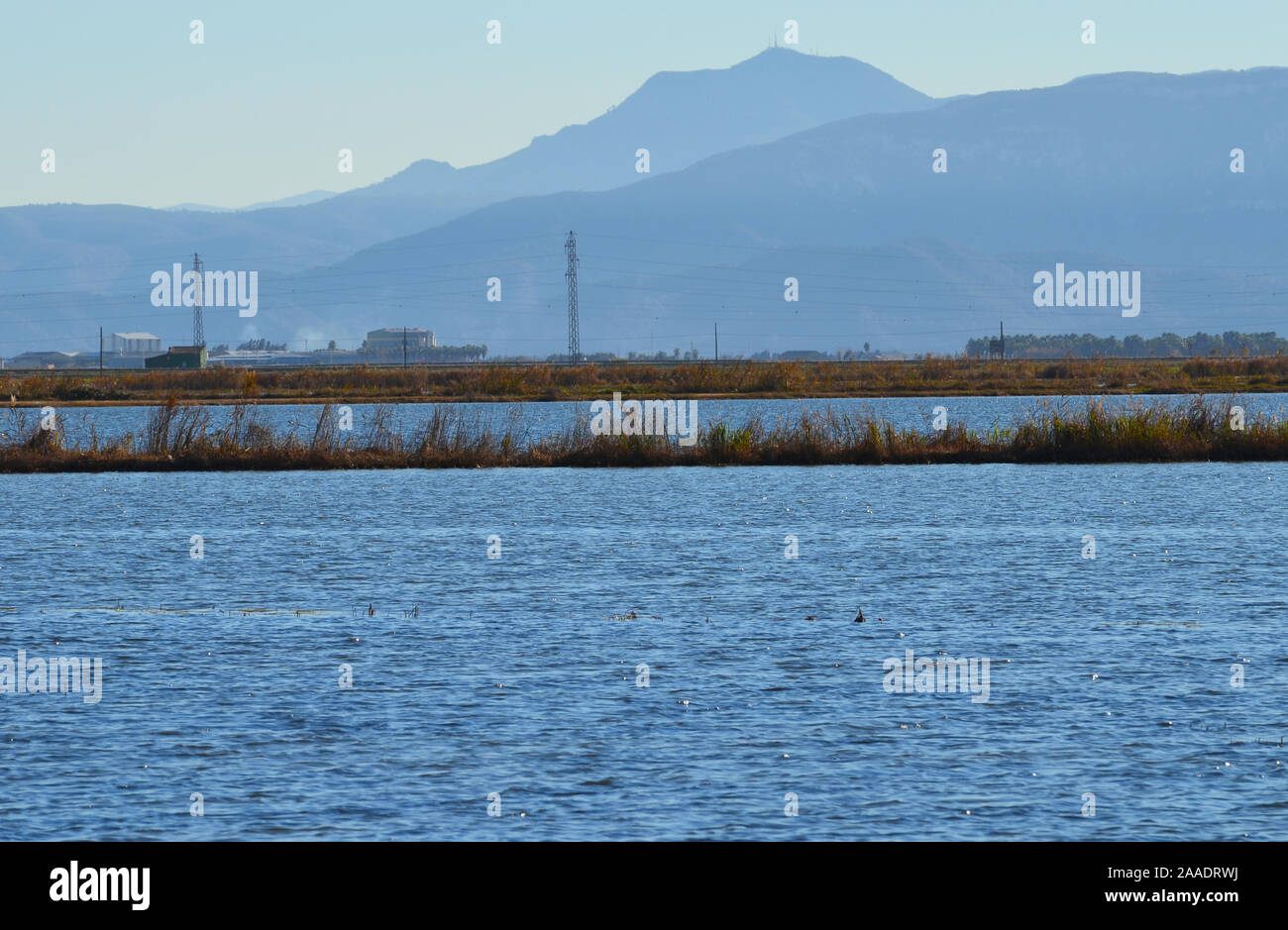 The Albufera natural park, a wetland of international importance in ...