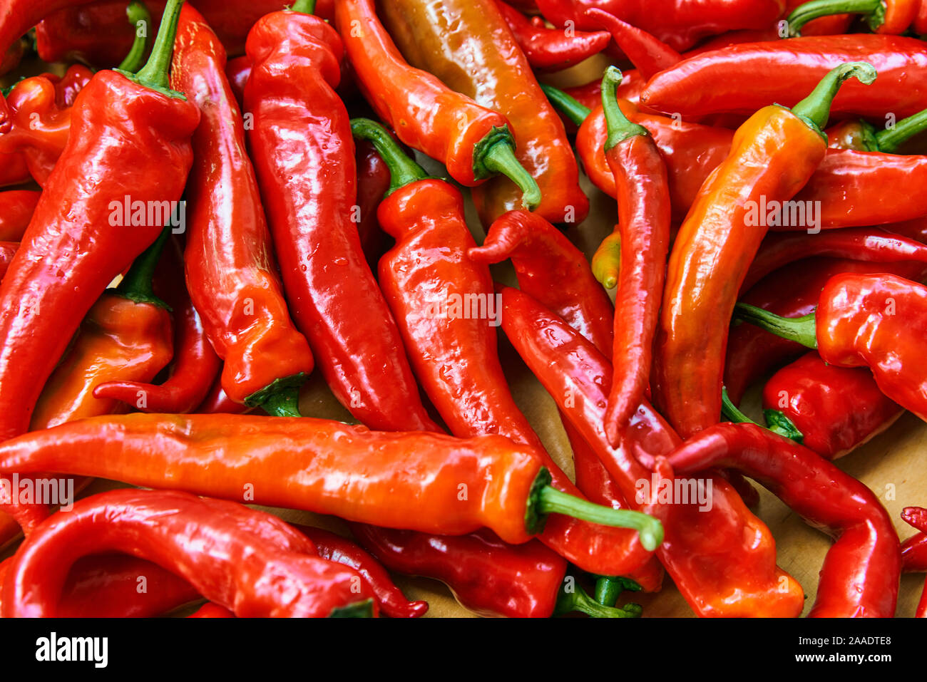 Red hot chilli peppers pattern texture background. Close up. Landscape ...