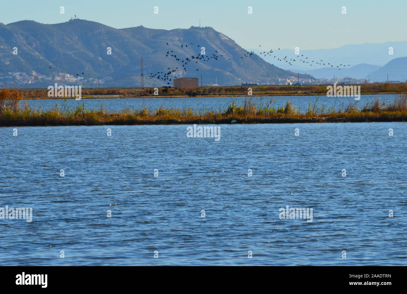 The Albufera natural park, a wetland of international importance in ...