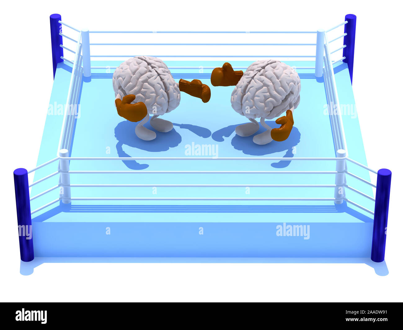 two human brains with boxing gloves in a fight on a boxing ring, 3d illustration Stock Photo - Alamy