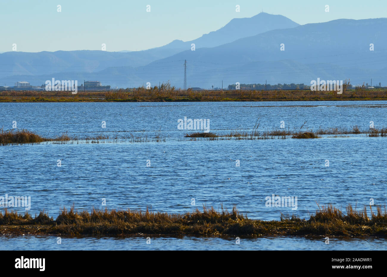 The Albufera natural park, a wetland of international importance in ...