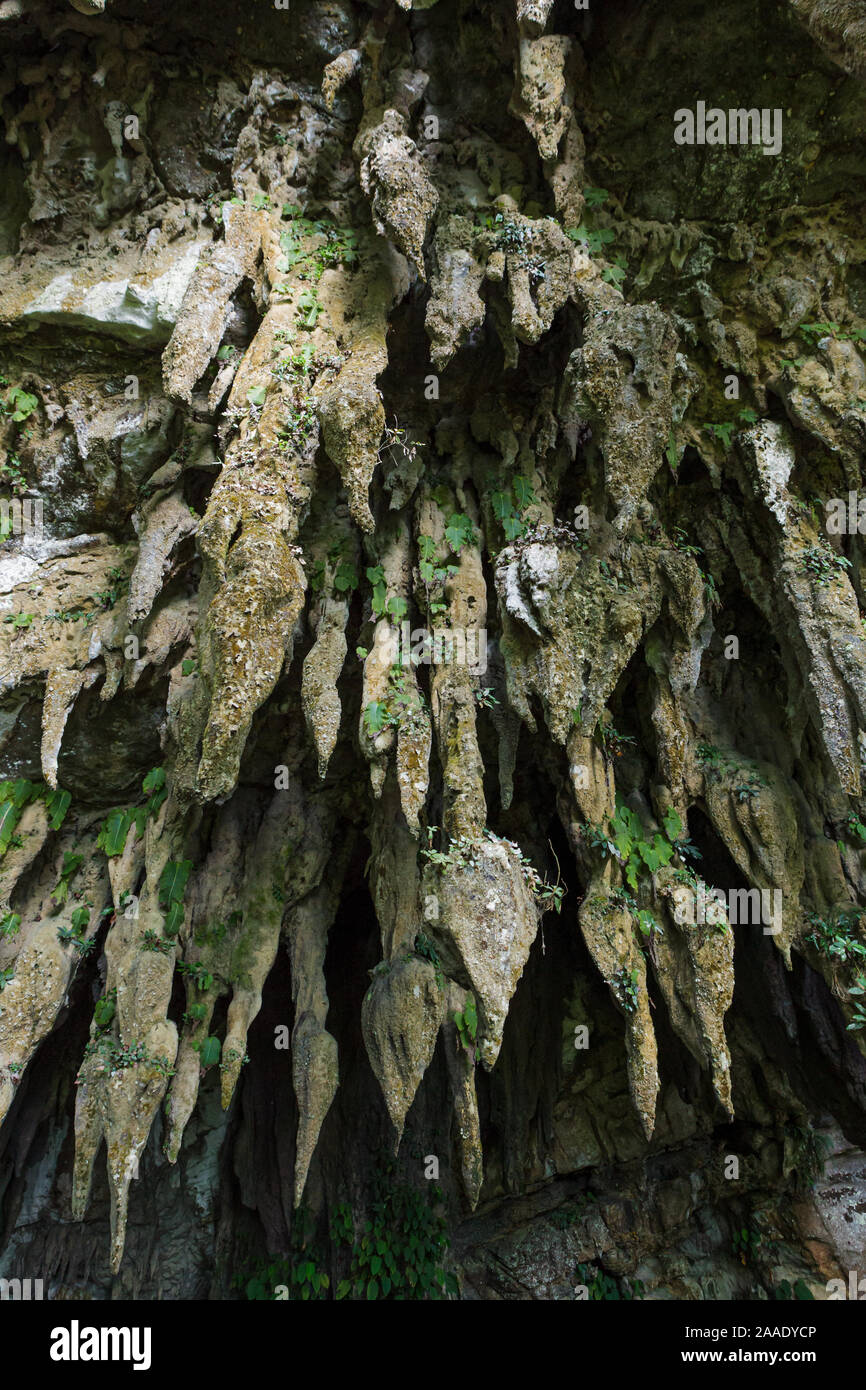 Rock formations in cave Borneo Malaysia Stock Photo - Alamy