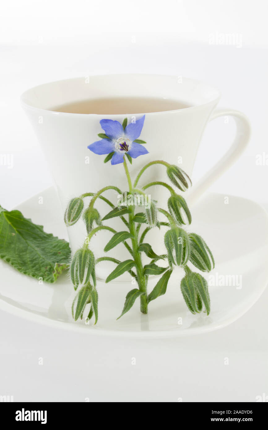Teetasse hi-res stock photography and images - Alamy