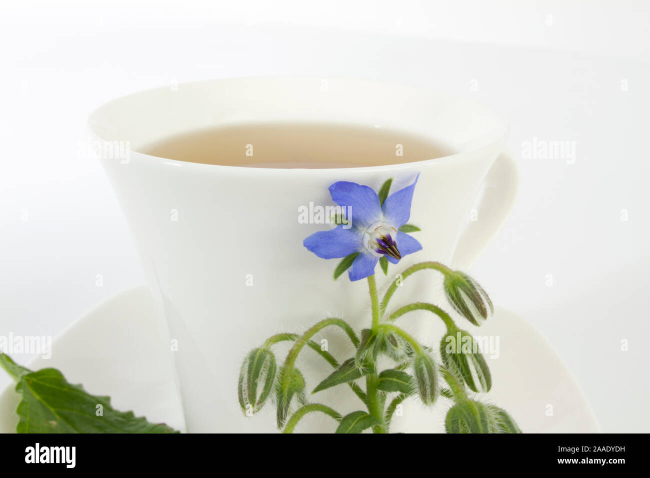 Teetasse hi-res stock photography and images - Alamy
