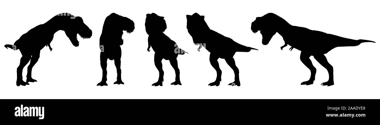 Tyrannosaurus rex ( T-rex ) is walking and snarling . Silhouette design ...