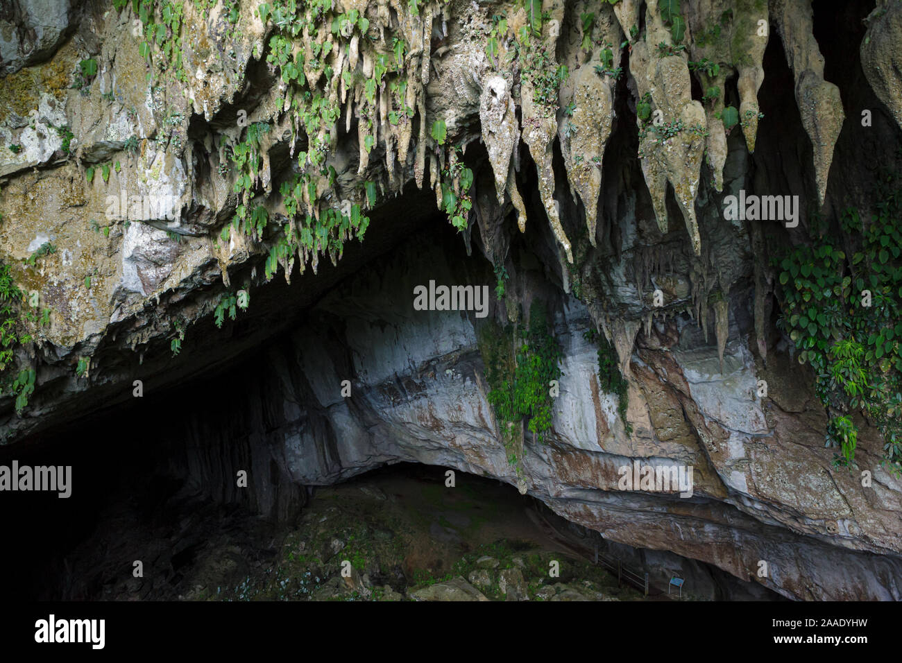 Rock formations in cave Borneo Malaysia Stock Photo - Alamy
