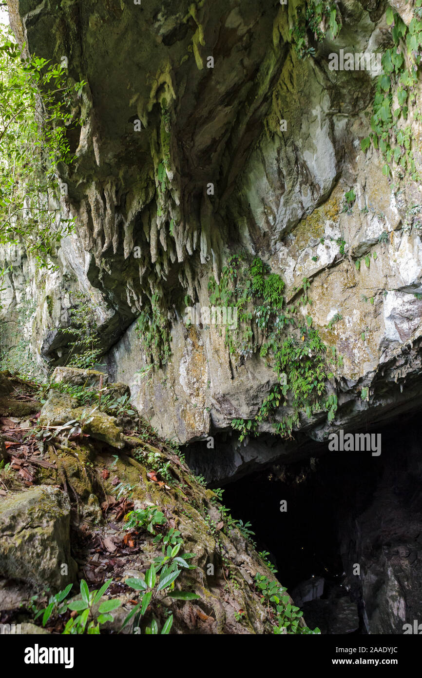 Rock formations in cave Borneo Malaysia Stock Photo - Alamy