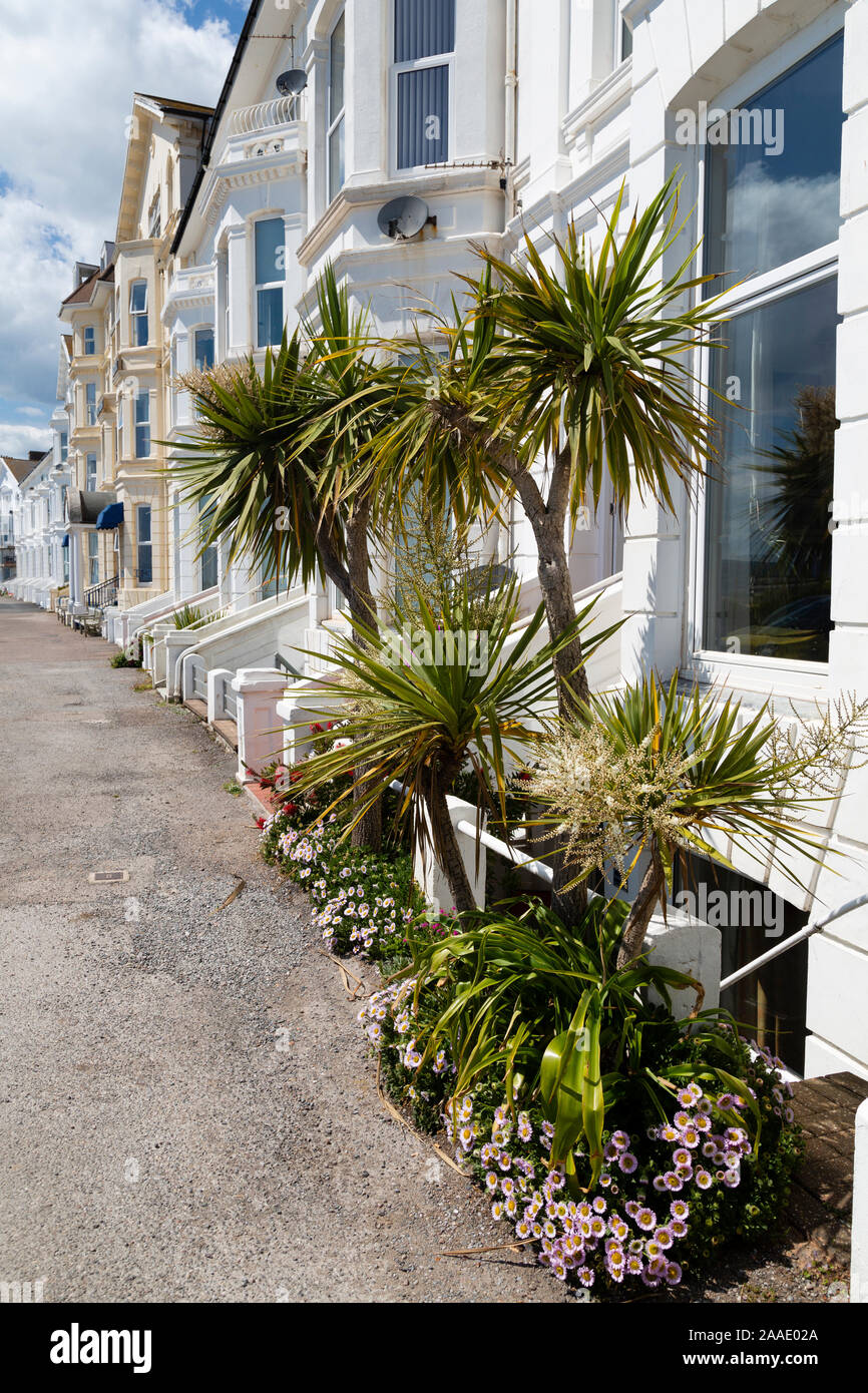 Seafront palm trees resort hi-res stock photography and images - Alamy