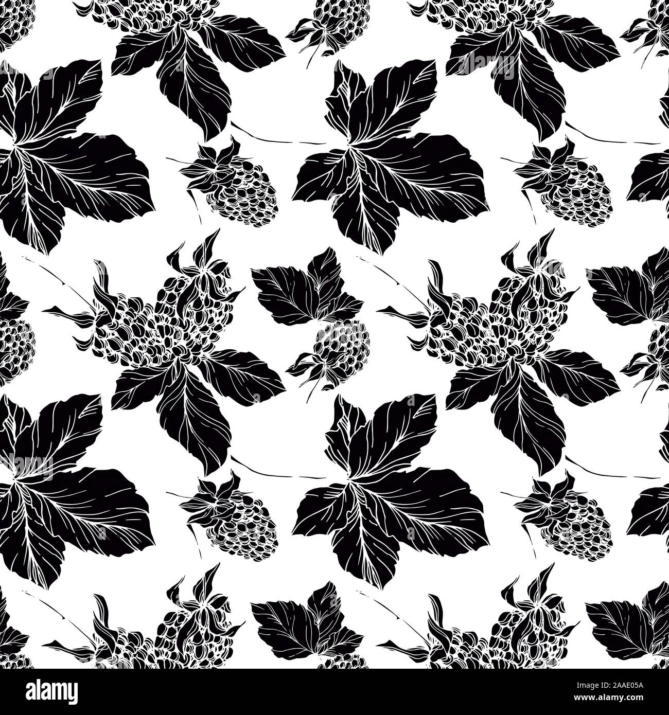 Blackberry healthy food. Black and white engraved ink art. Seamless ...