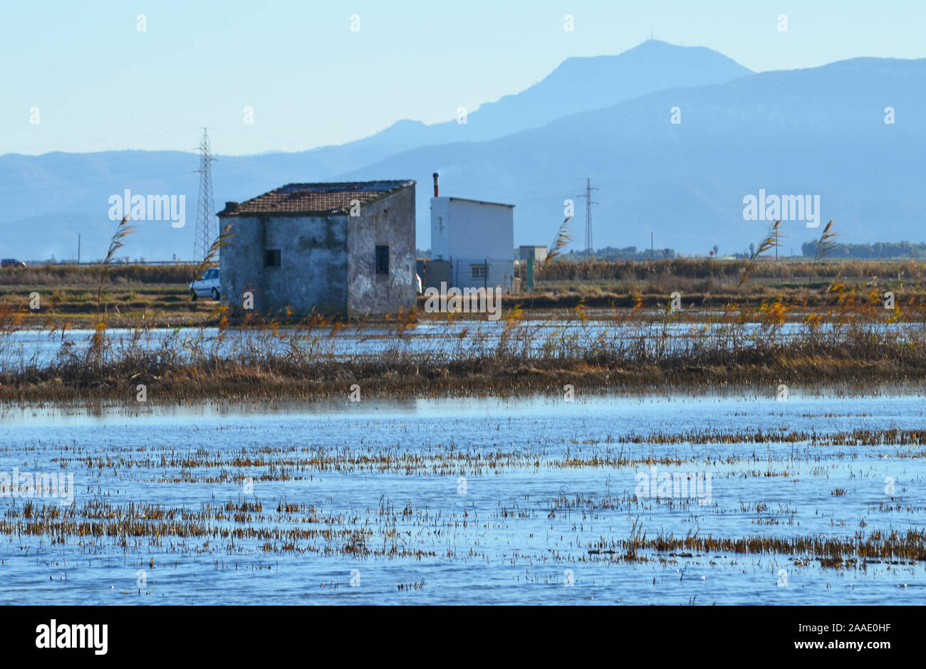 The Albufera natural park, a wetland of international importance in ...