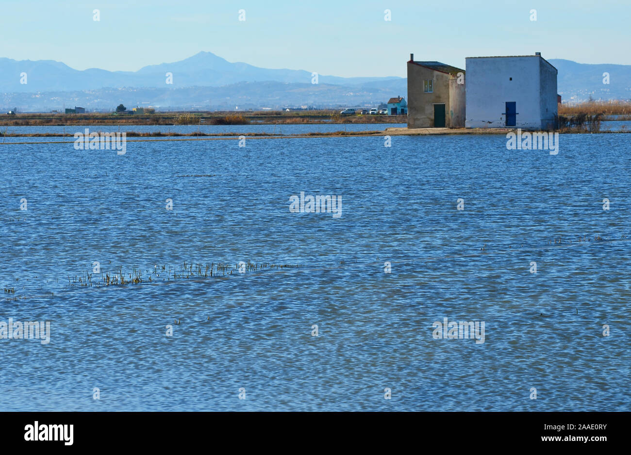 The Albufera natural park, a wetland of international importance in ...