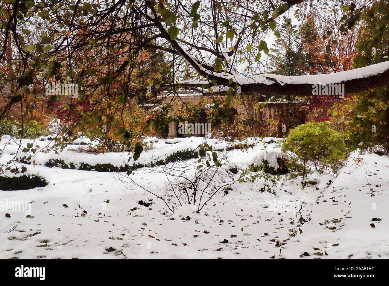 Winter garden snow architecture hi-res stock photography and images - Alamy