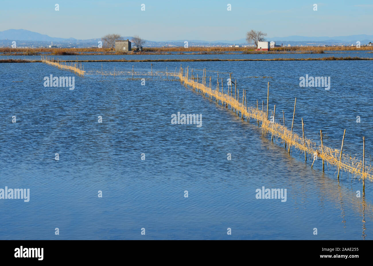 The Albufera natural park, a wetland of international importance in ...