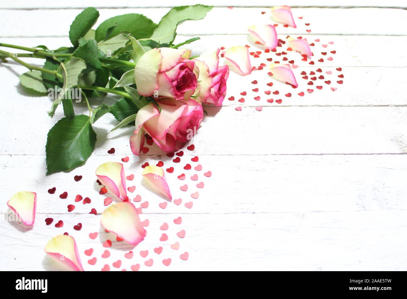 Picture of roses hi-res stock photography and images - Alamy