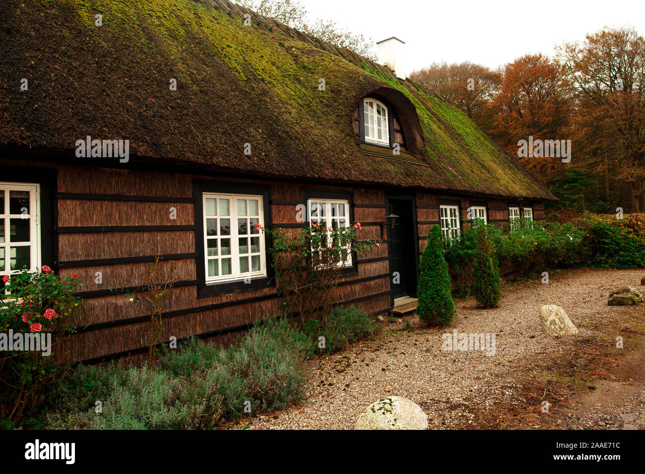 Traditional danish farm house or rural agriculture building ...