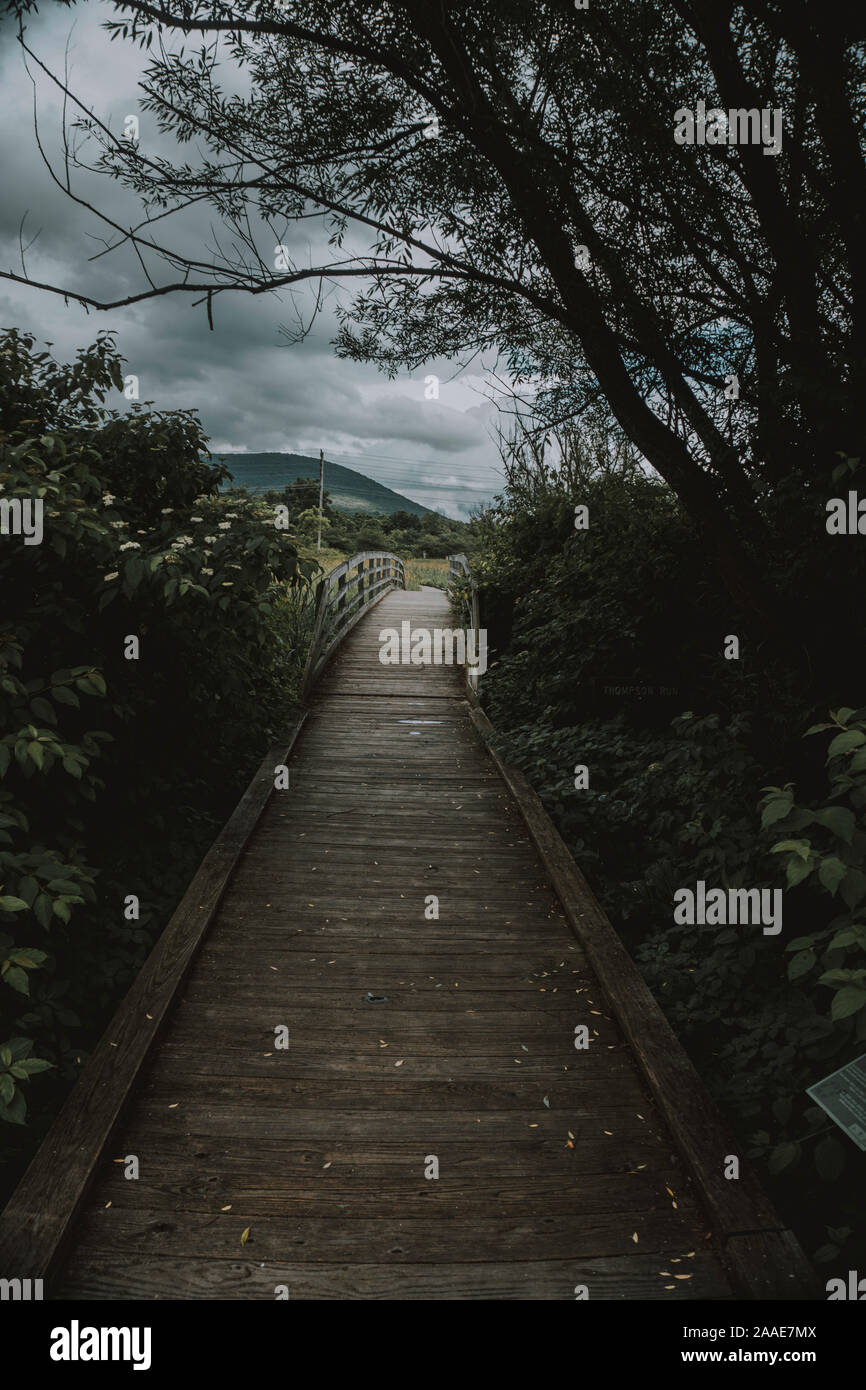 Moody nature walkway hi-res stock photography and images - Alamy