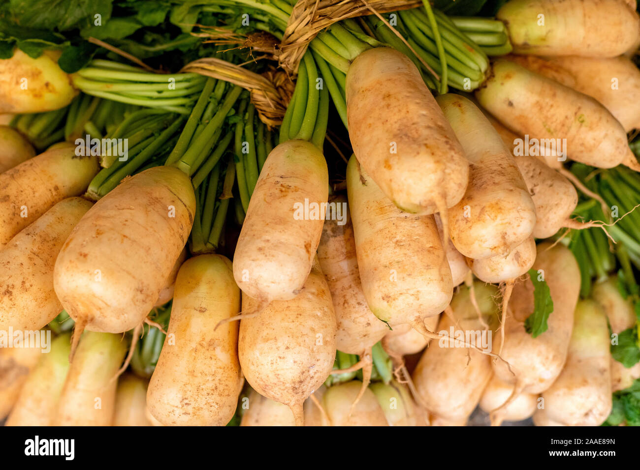 Bunches of radish close-up. Vegetable texture. Background from turnips ...