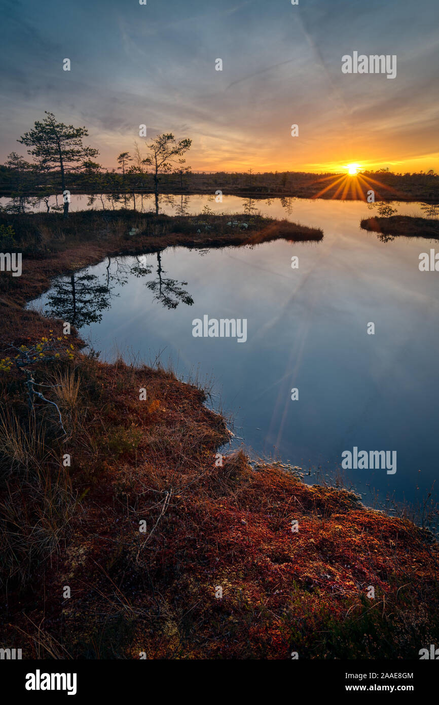 Last rays of setting sun reaching the colorful bank of a bog pond Stock ...