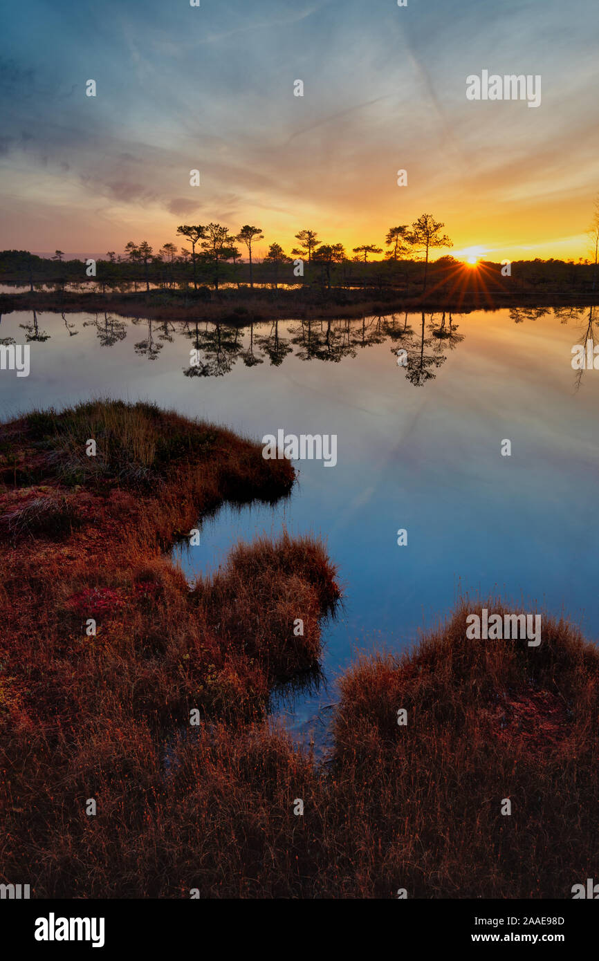 Bog sunset hi-res stock photography and images - Alamy