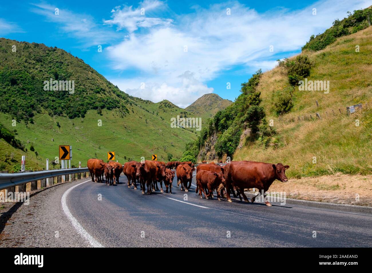 Matawai hi-res stock photography and images - Alamy