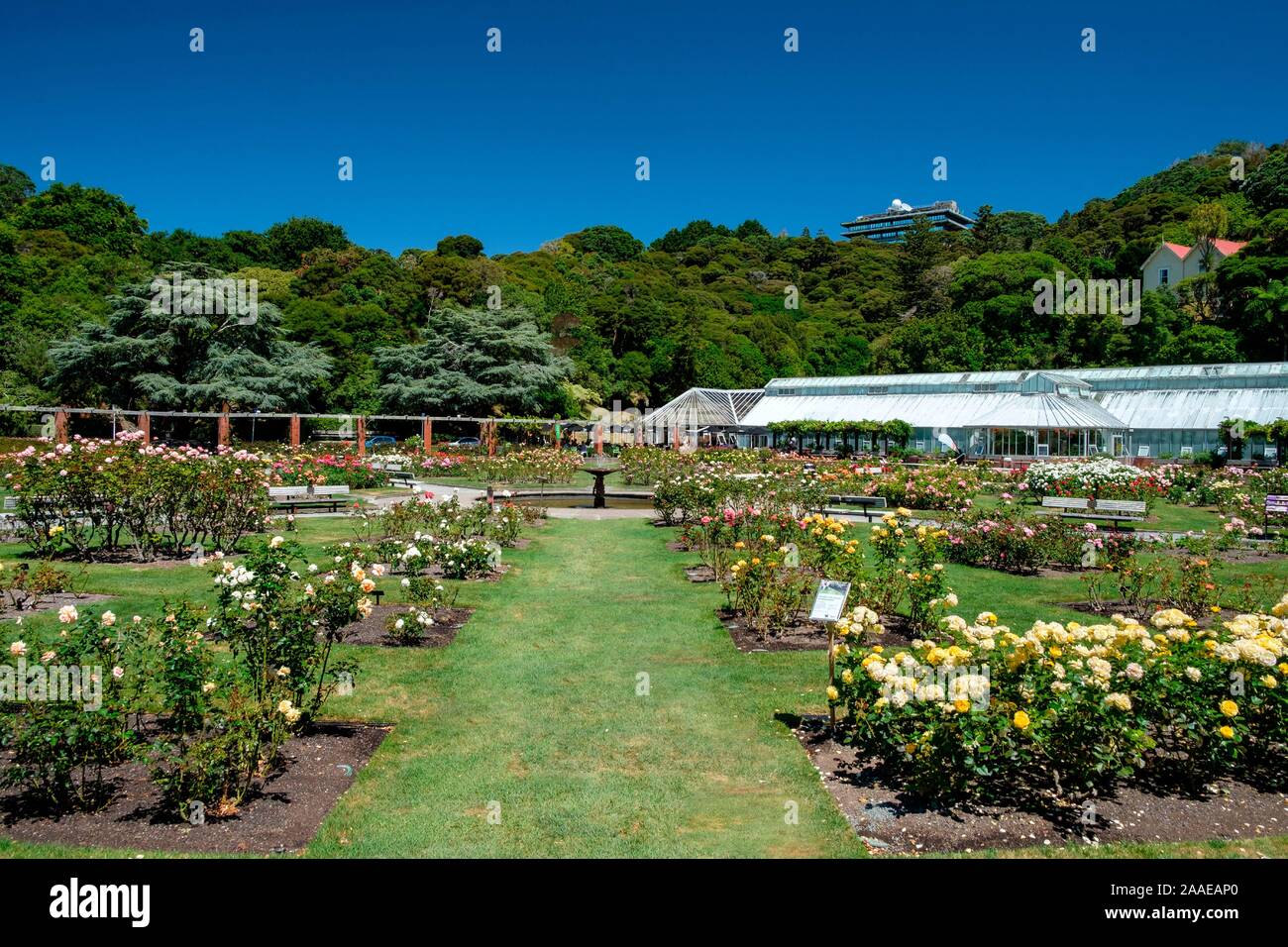 Wellington Landscape High Resolution Stock Photography and Images - Alamy