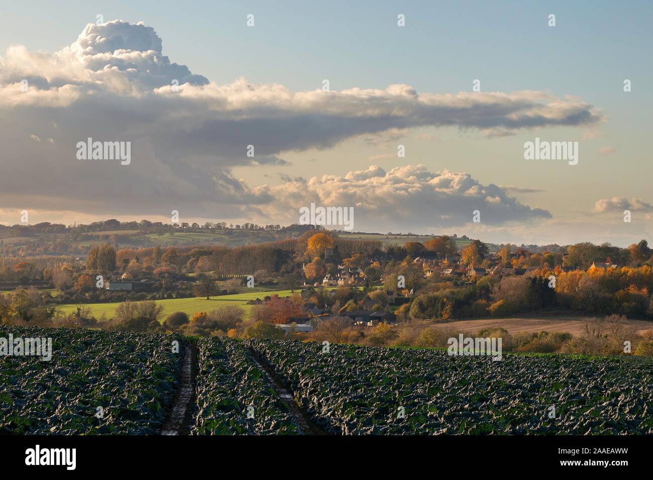 Cotswolds ebrington hi-res stock photography and images - Alamy