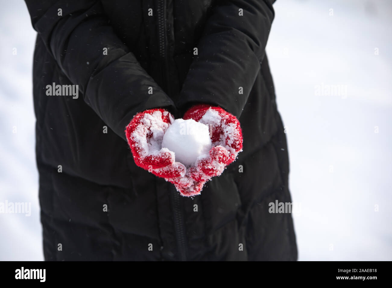 no face. snowball in woman hands in red gloves Stock Photo - Alamy