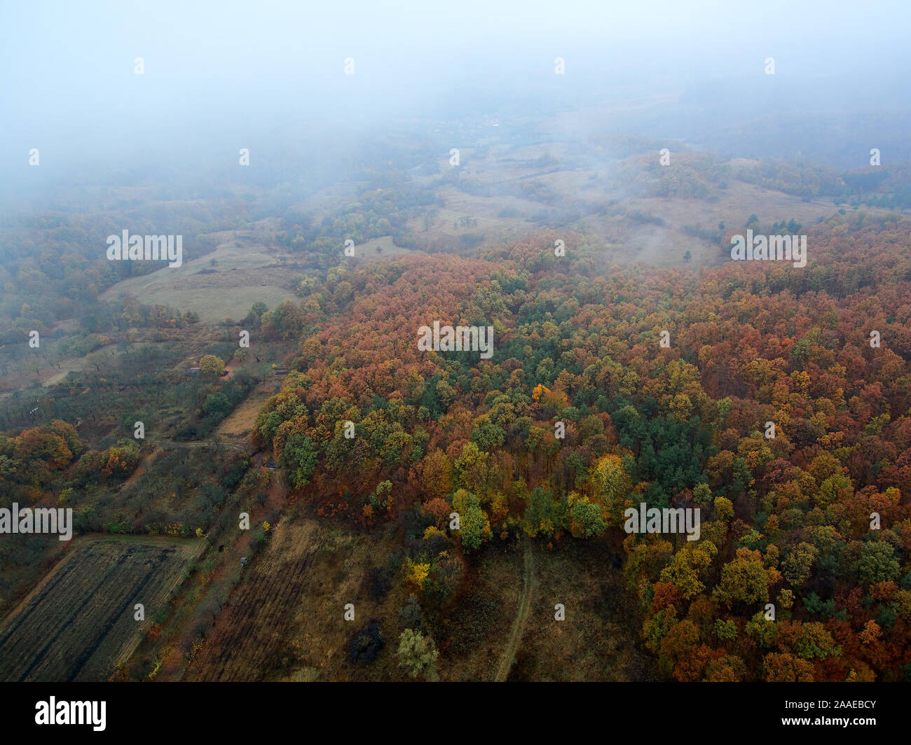 Aerial drone photo forest hi-res stock photography and images - Alamy