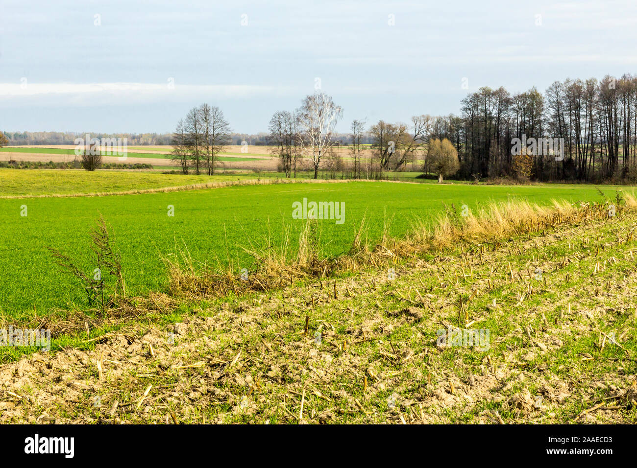Ranch fence grassland hi-res stock photography and images - Alamy