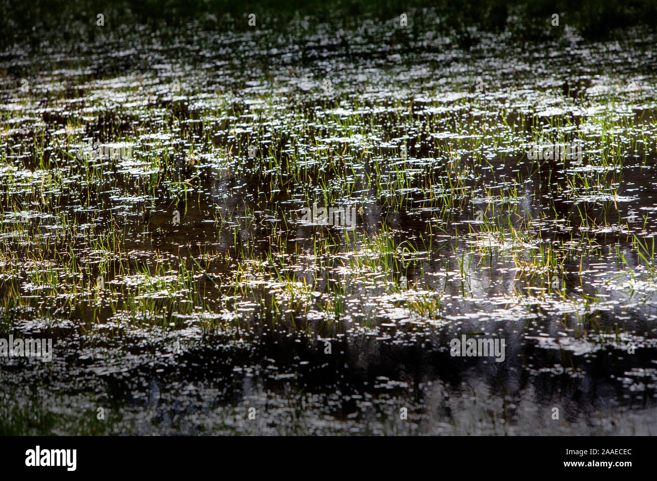 Flood patterns hi-res stock photography and images - Alamy