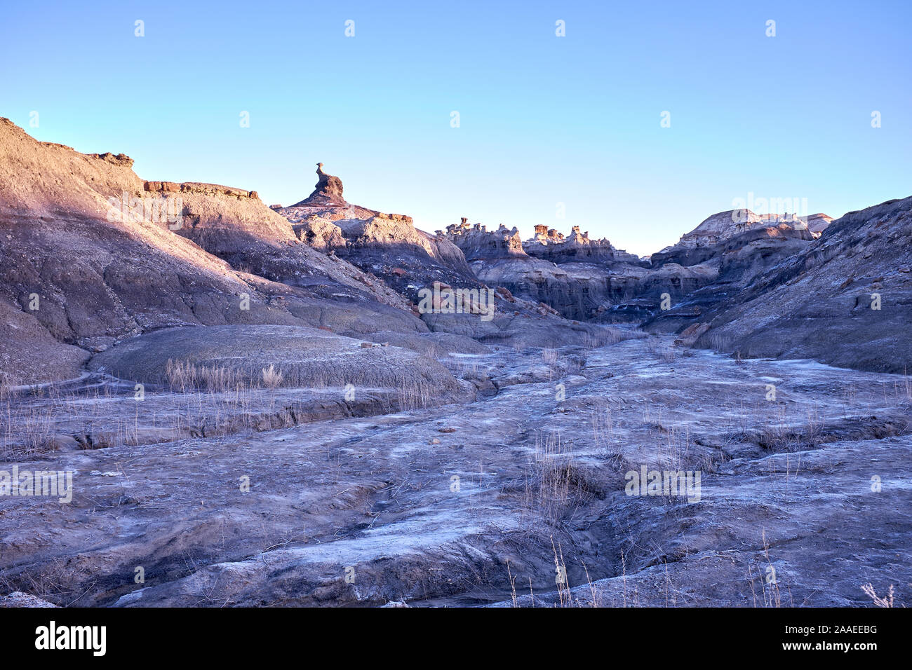 Bisti Badlands De-Na-Zin rock formations in New Mexico, USA Stock Photo ...