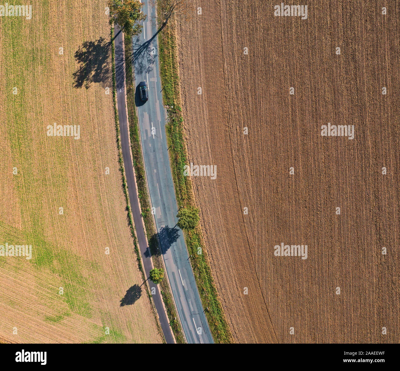 Nadir shot hi-res stock photography and images - Alamy