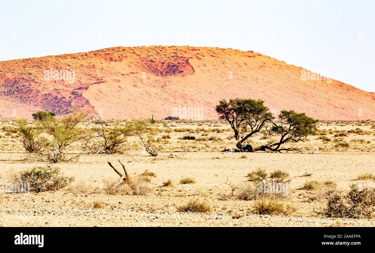 Landscape of Namibia, Africa Stock Photo - Alamy