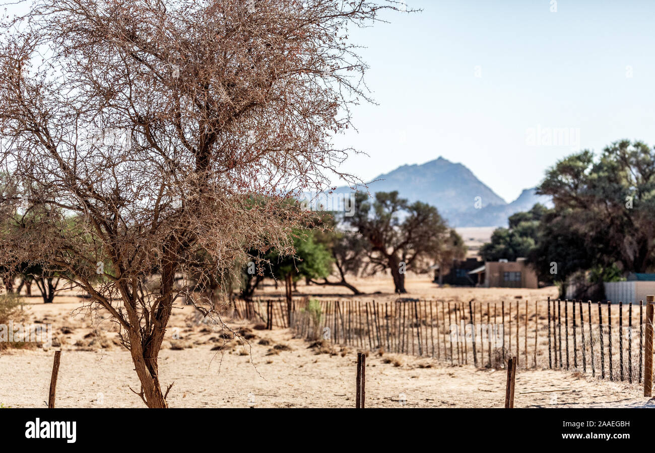 Landscape of Namibia, Africa Stock Photo - Alamy