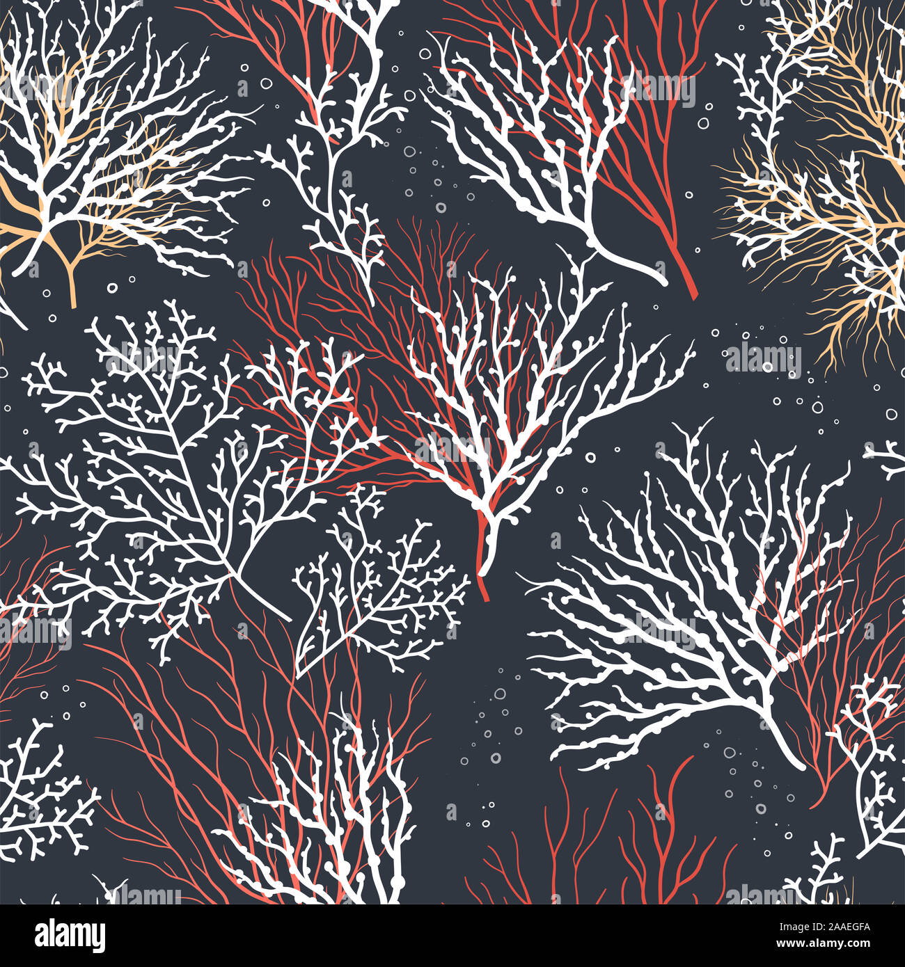 Beautiful sea fan coral hi-res stock photography and images - Alamy