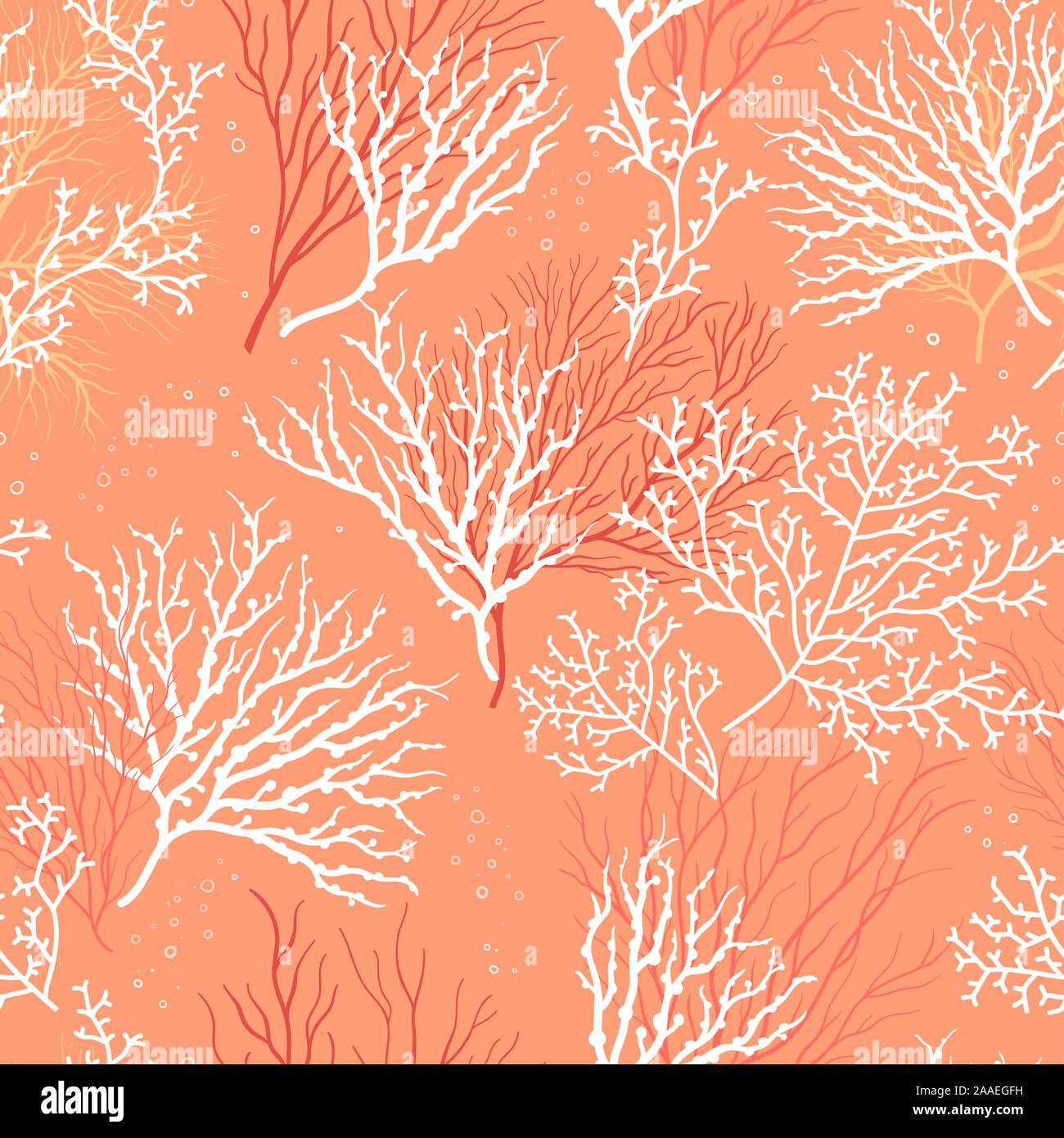 Beautiful sea fan coral hi-res stock photography and images - Alamy