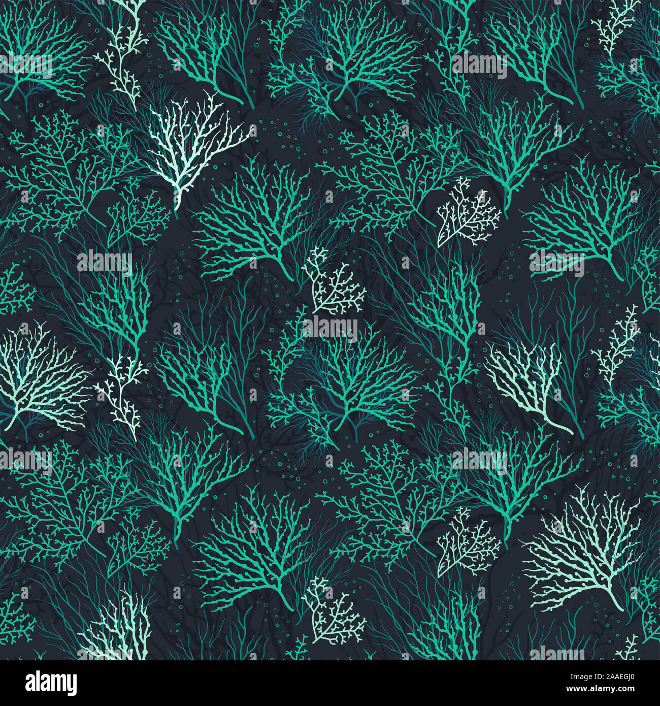 Beautiful sea fan coral hi-res stock photography and images - Alamy