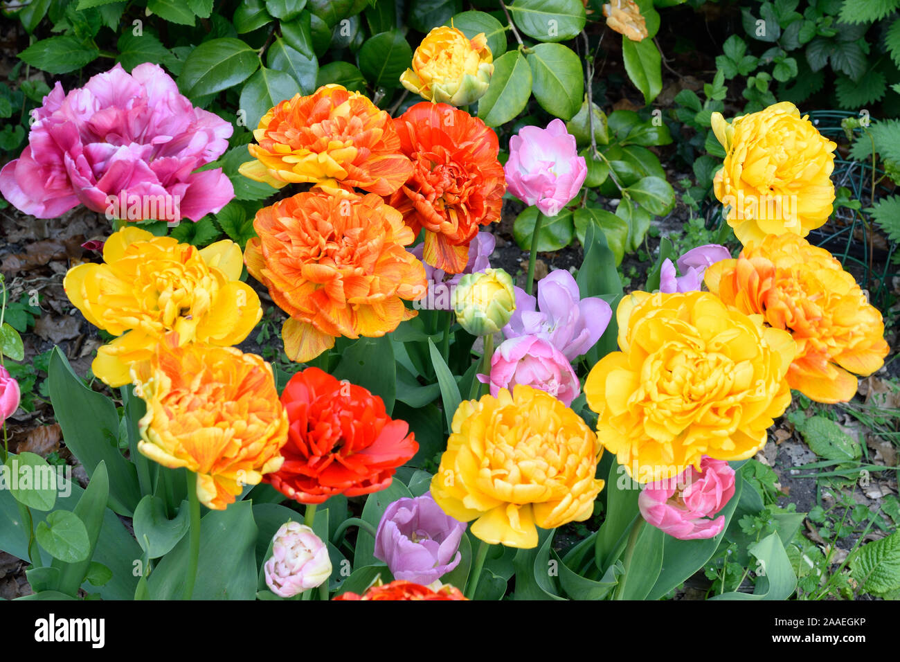 Double eleven hi-res stock photography and images - Alamy